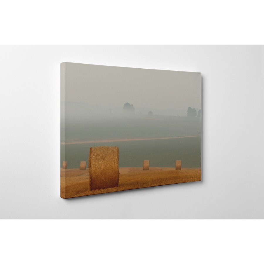 Recoltare - Tablou Canvas - 20x25 cm - eMAG.ro