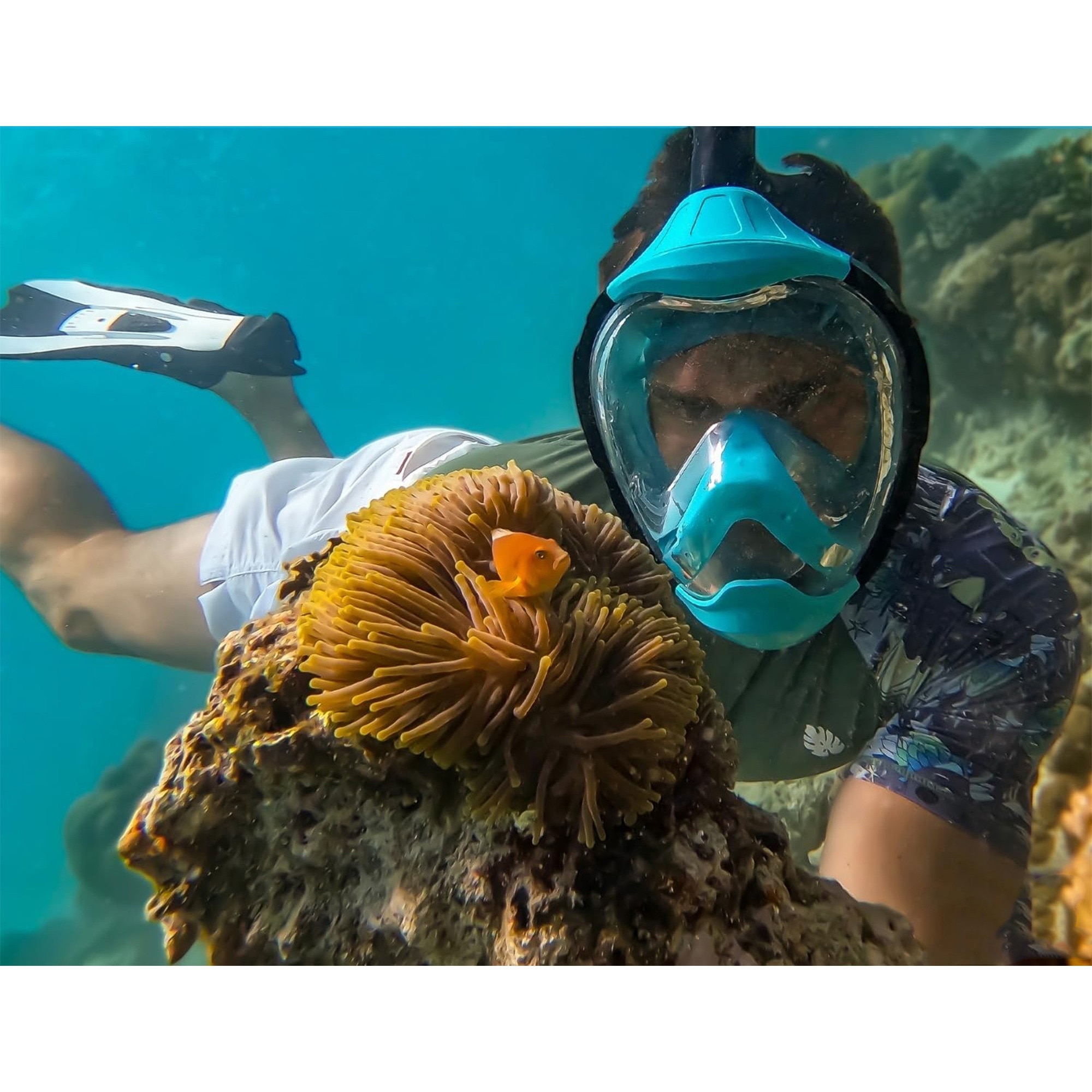 Masca de Scufundare si Snorkeling Full Face Hydro L/XL - Vedere ...