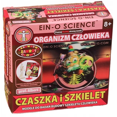 Set educațional Anatomie Umană, Dromader, schelet și craniu, plastic, 8 ...