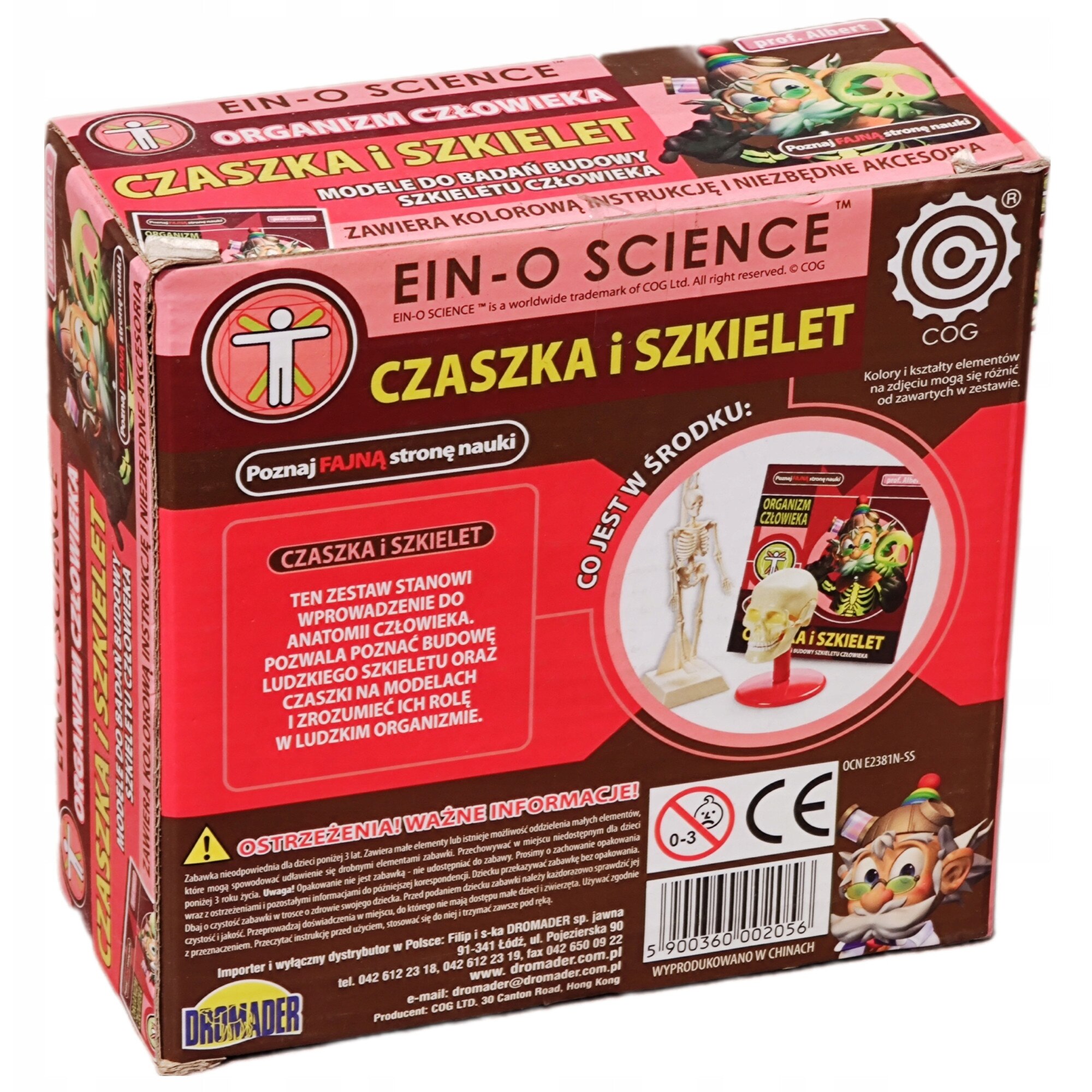 Set educațional Anatomie Umană, Dromader, schelet și craniu, plastic, 8 ...