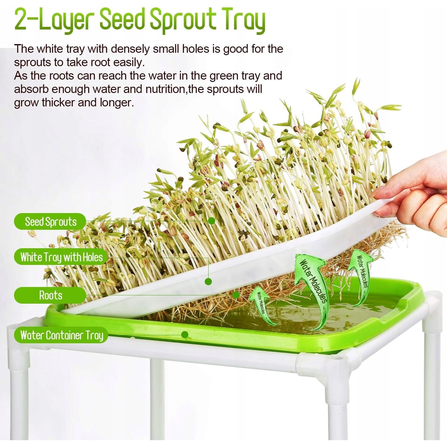 Set de germinare cu suport 4 niveluri, tavi albe si verzi, dimensiuni ...
