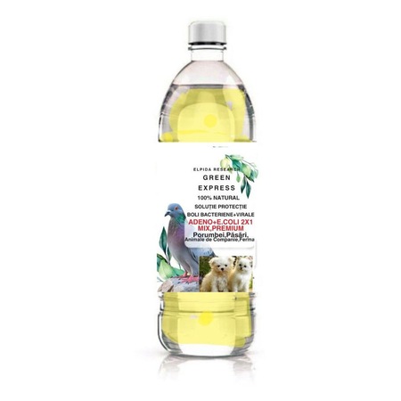 Supliment nutritiv Green Express pentru Protectia in Boli BACTERIENE ...