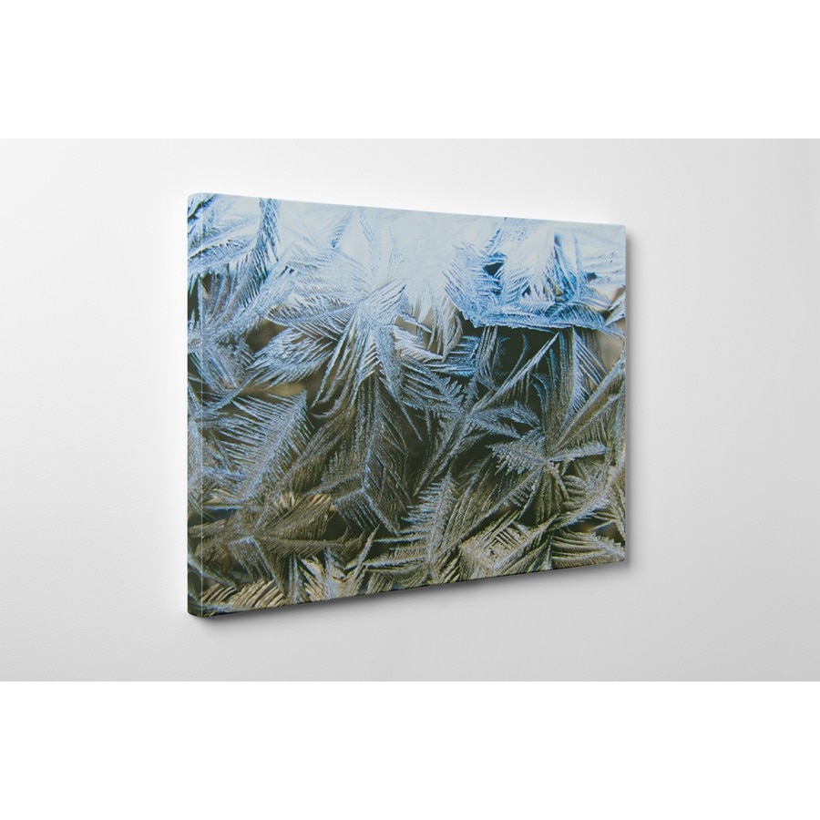 Flori de gheata - Tablou Canvas - 35x45 cm - eMAG.ro