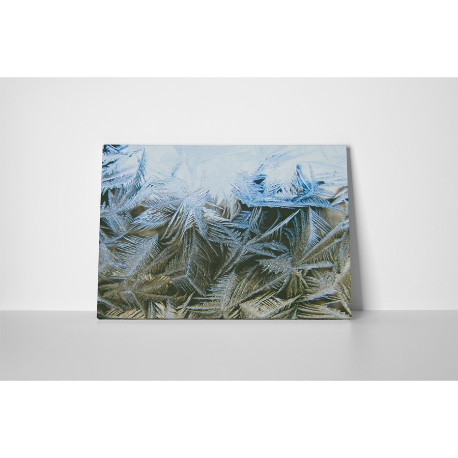 Flori de gheata - Tablou Canvas - 35x45 cm - eMAG.ro