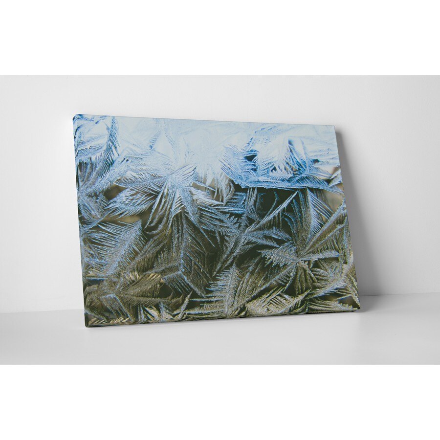 Flori de gheata - Tablou Canvas - 35x45 cm - eMAG.ro