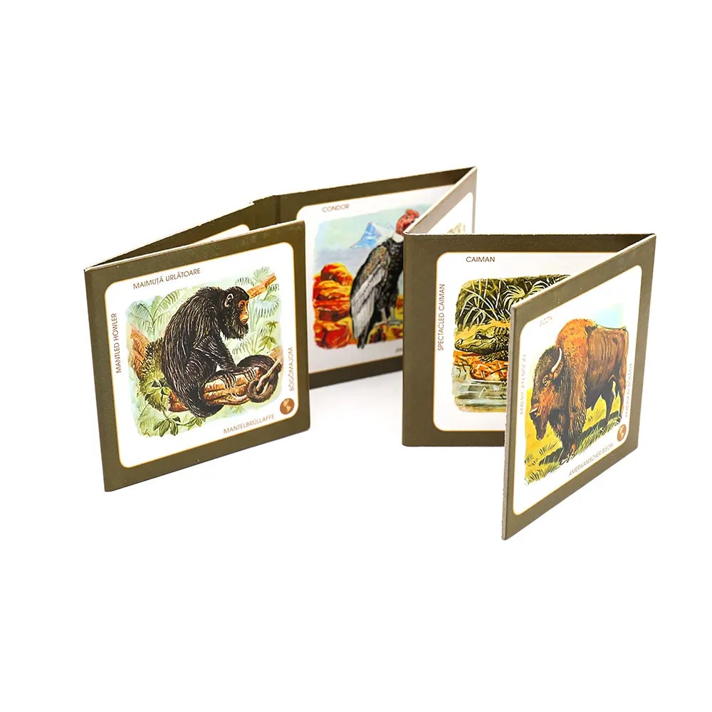 Carte pliantă Animale din Continente, Dtoys, 3+ ani, imagini colorate ...