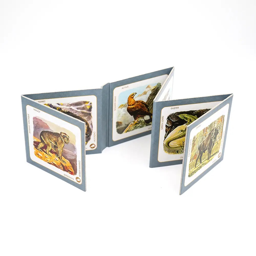 Carte pliantă educativă, Dtoys, Animale din Continente - Europa ...