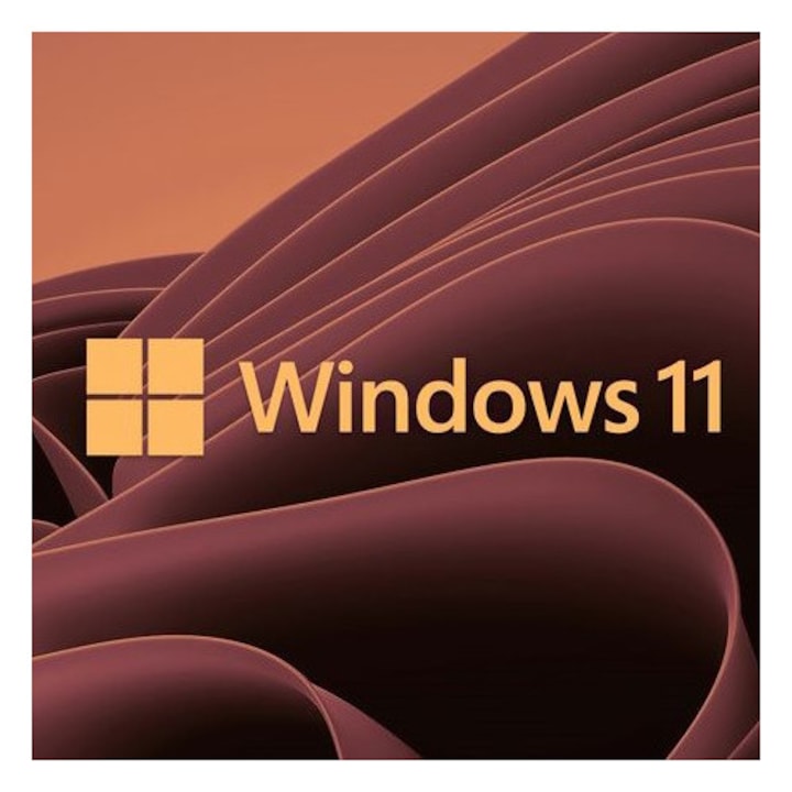 Windows 11 Pro Licenta Digitala cu USB - Activare Permanenta - eMAG.ro