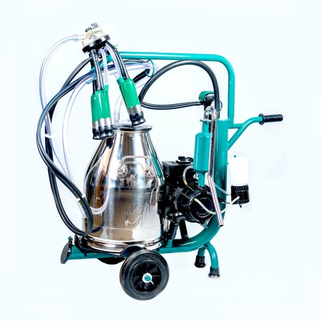 Aparat de muls cu 1 post, 1 bidon inox 30 L, pompa cu ungere, pulsator ...
