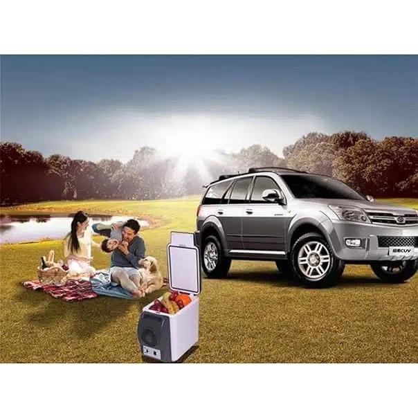 Frigider auto, 6L 12V Mini Frigider electric Incalzitor Frigider ...