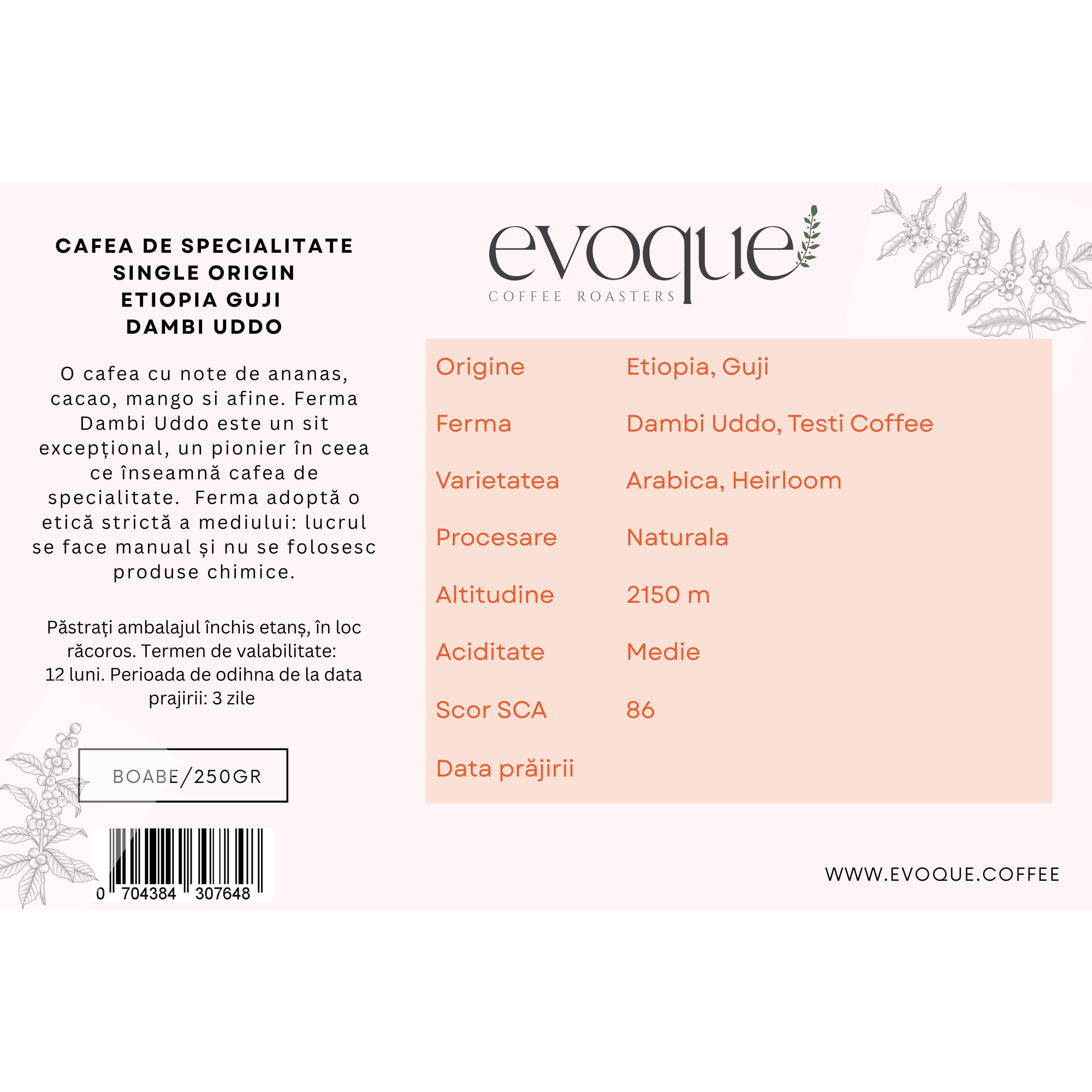Cafea boabe Etiopia Guji Dambi Uddo natural, Evoque Coffee, prajire ...