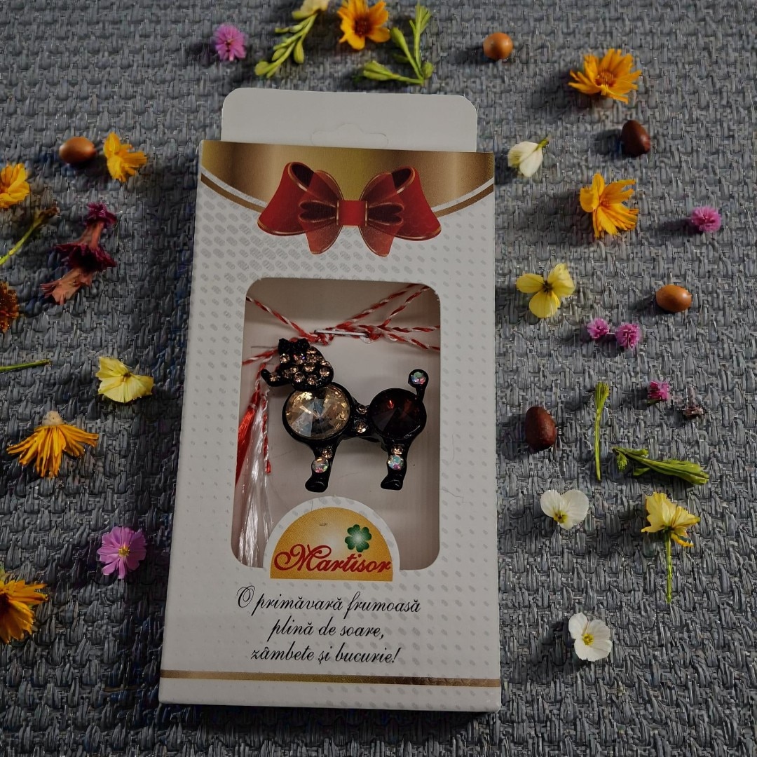Gasca nebuna: Set 4 Brose Martisor cu Animalute Haioase - eMAG.ro