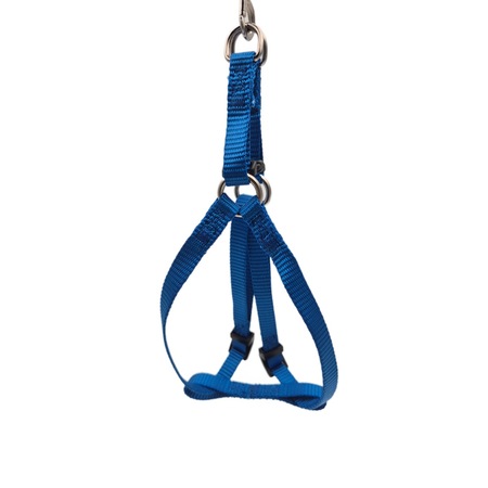 Ham pentru Caini Mici, Mini Toy - Petro Albastru XS(1cm x 20-30cm ...