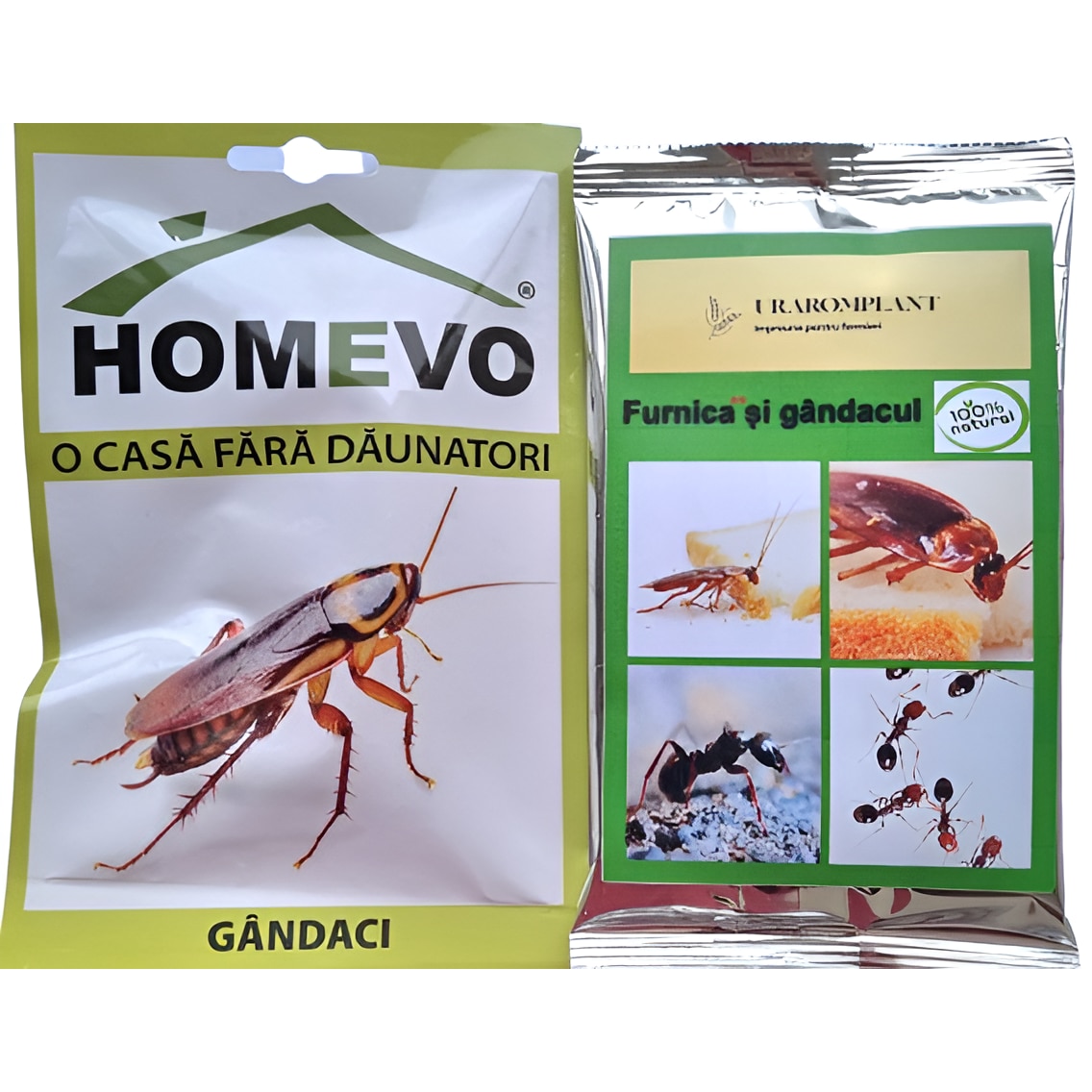Insecticid Foval Gel pentru gandacii de bucatarie, seringa 5 grame ...