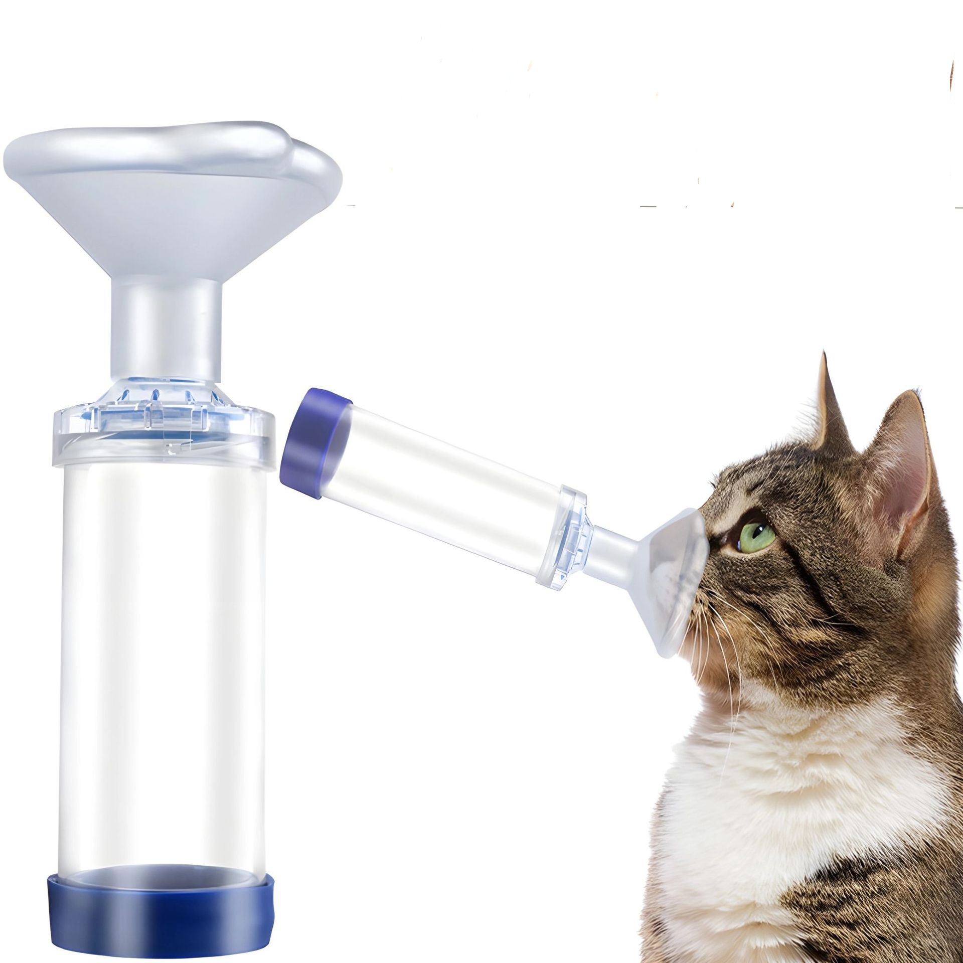Inhalator pentru pisici/caini, ajuta la administrarea medicamentelor ...