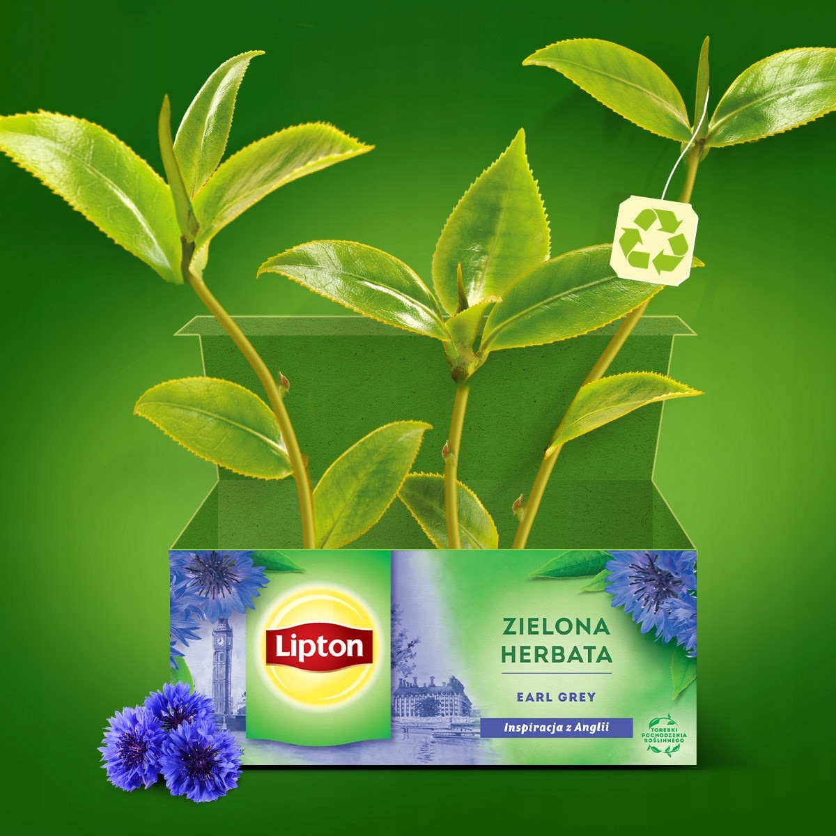 Set 8x Ceai verde Lipton Earl Grey 20 plicuri, 32g - eMAG.ro
