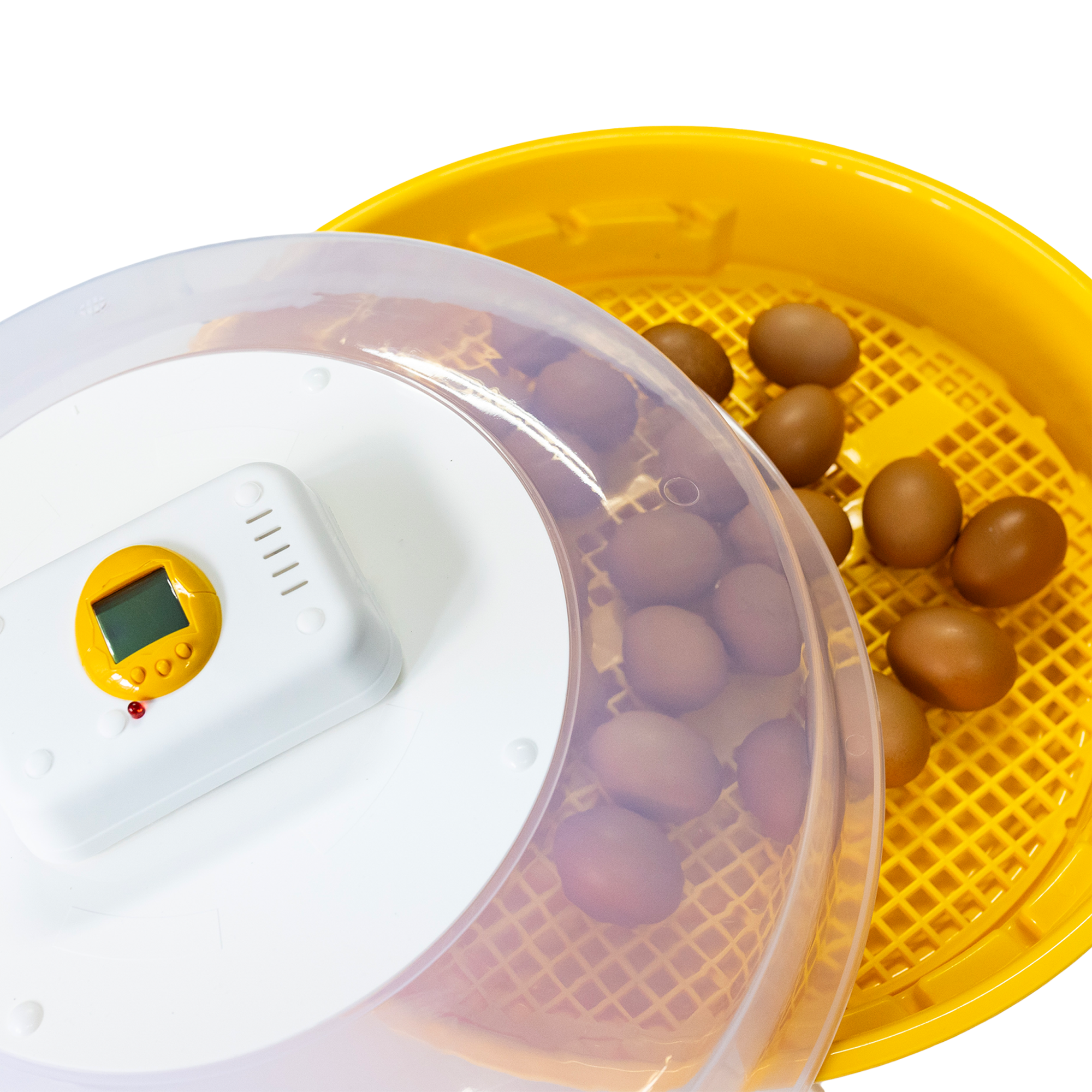 Incubator electric oua (clocitoare) cu termometru si intoarcere manuala ...