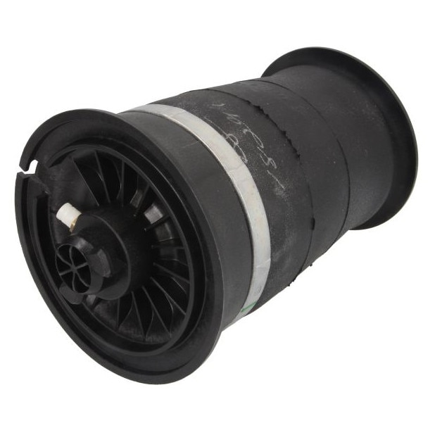 Perna de Aer Spate Dreapta/Stanga ARNOTT pentru BMW 5 (F11), 5 Gran ...