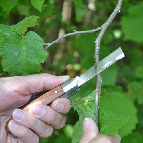 Cutit de altoit traditional Vesco R1 pentru pomi fructiferi, vita de ...