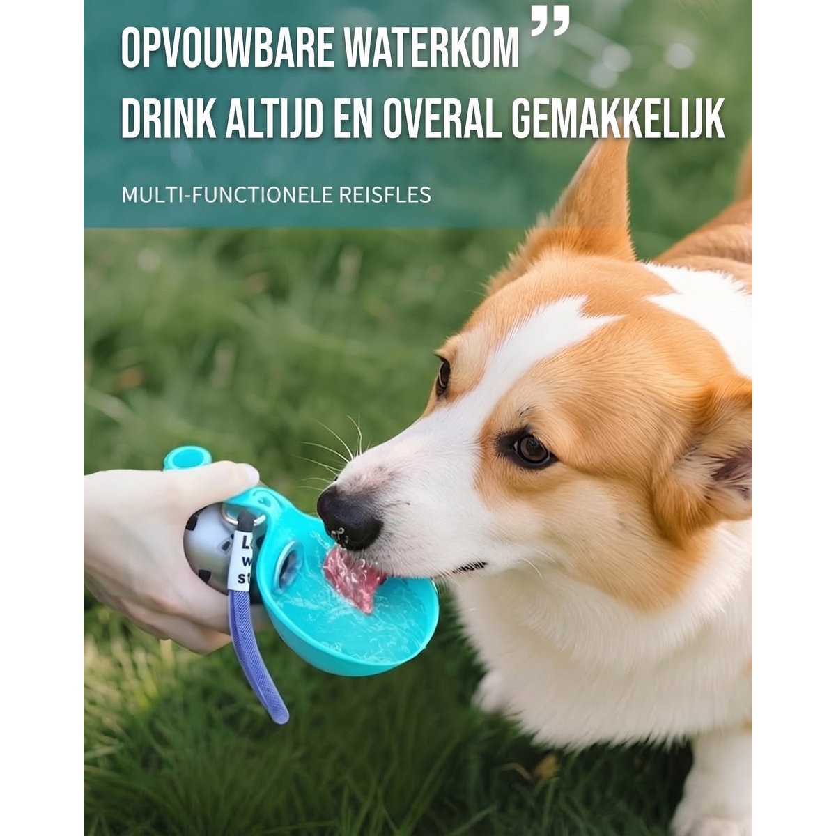 Sticla apa 2-in-1 pentru caini, portabila, silicon si otel inoxidabil ...