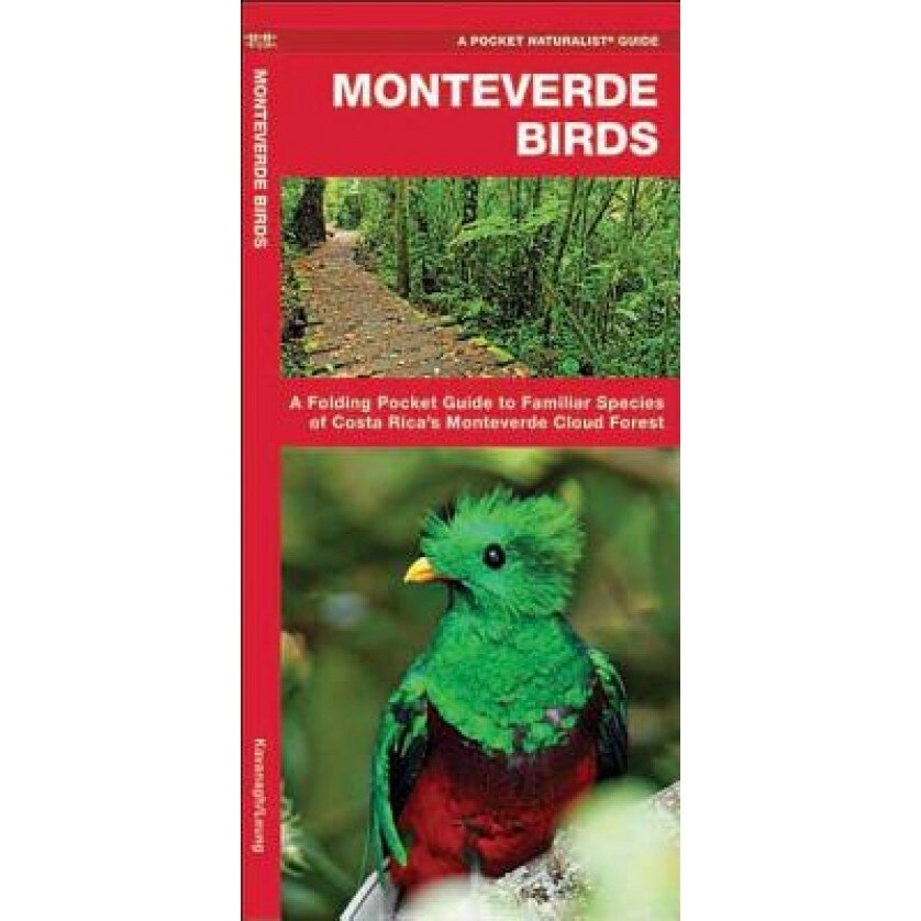Monteverde Birds: An Introduction to Familiar Species in Costa Rica's ...