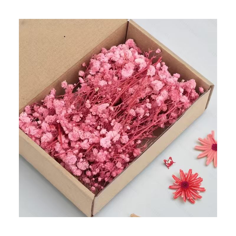Gypsophila uscata, 50 fire, roz, mov si alb natural, 30x45cm, set - eMAG.ro