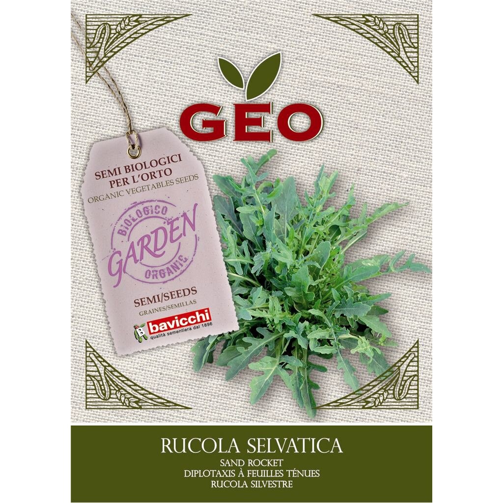 Seminte ecologice de plantat: Rucola, Bavicchi - eMAG.ro
