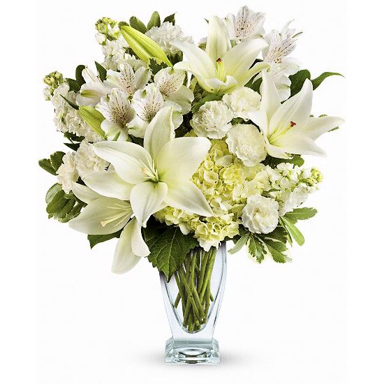 Hortensia, crin asiatic, alstroemeria si garofite - Arctic Queen Deluxe ...