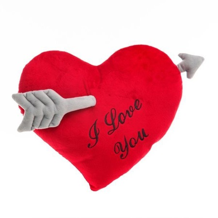 Perna Inima cu Sageata, I Love You, 35 cm - eMAG.ro