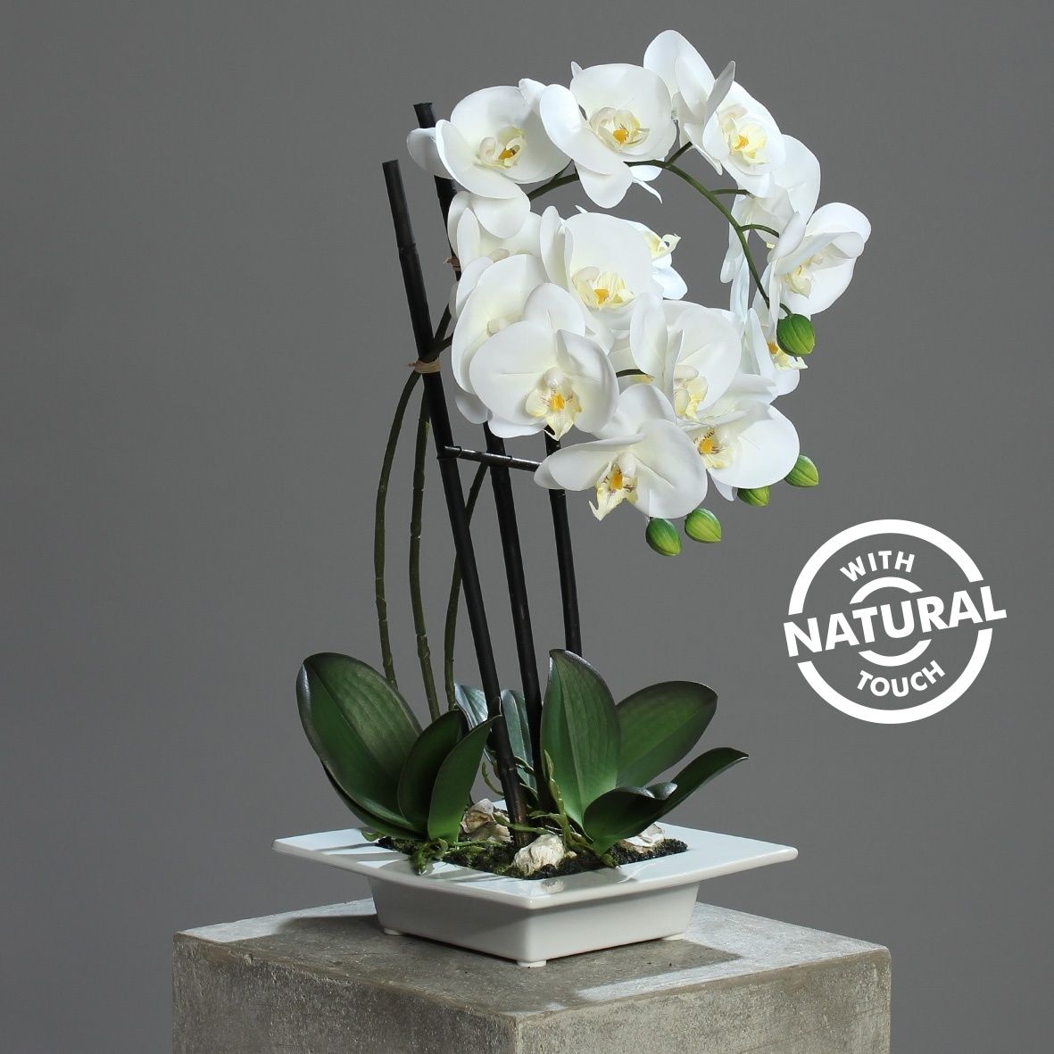 Orhidee artificiala Phalaenopsis Fresh cu aspect 100% natural, 46 cm ...