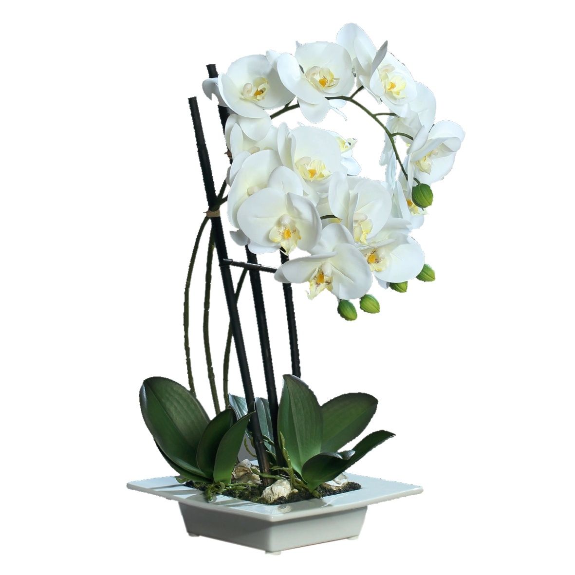 Orhidee artificiala Phalaenopsis Fresh cu aspect 100% natural, 46 cm ...