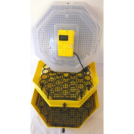 Incubator Cleo 5ETG cu termostat reglabil, etaj, termometru digital si ...
