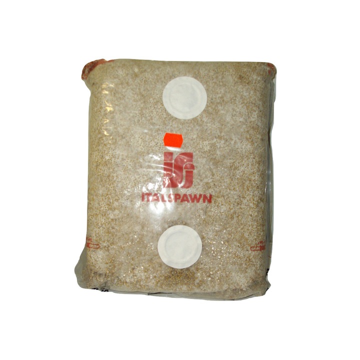 Miceliu pentru ciuperci Pleurotus (Italspawn) 5,7 kg - eMAG.ro