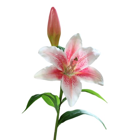 Crin artificial roz-crem - 50 cm - eMAG.ro