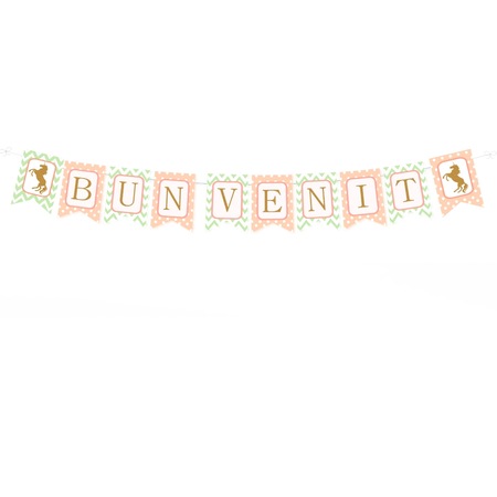 Banner decorativ cu textul "Bun Venit", Bebecard, Decoratiune petreceri ...