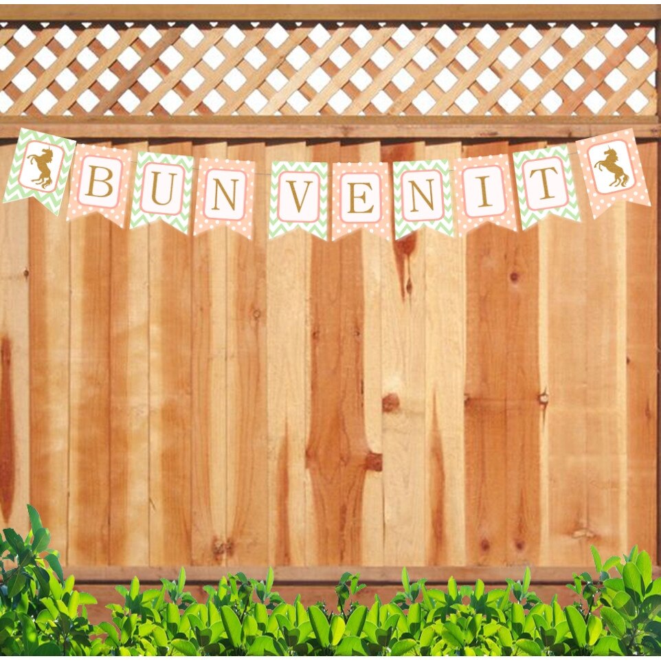 Banner decorativ cu textul "Bun Venit", Bebecard, Decoratiune petreceri ...