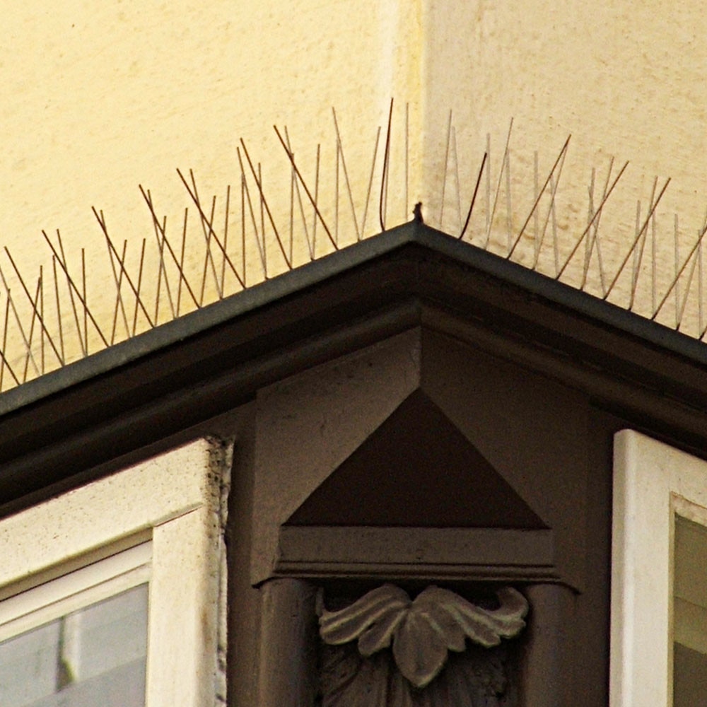 Sina cu tepi impotriva pasarilor Inox/PVC, lungime 50 cm - eMAG.ro