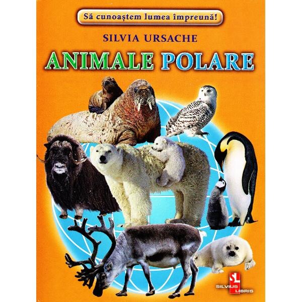 Animale polare - Cartonase - Silvia Ursache - eMAG.ro