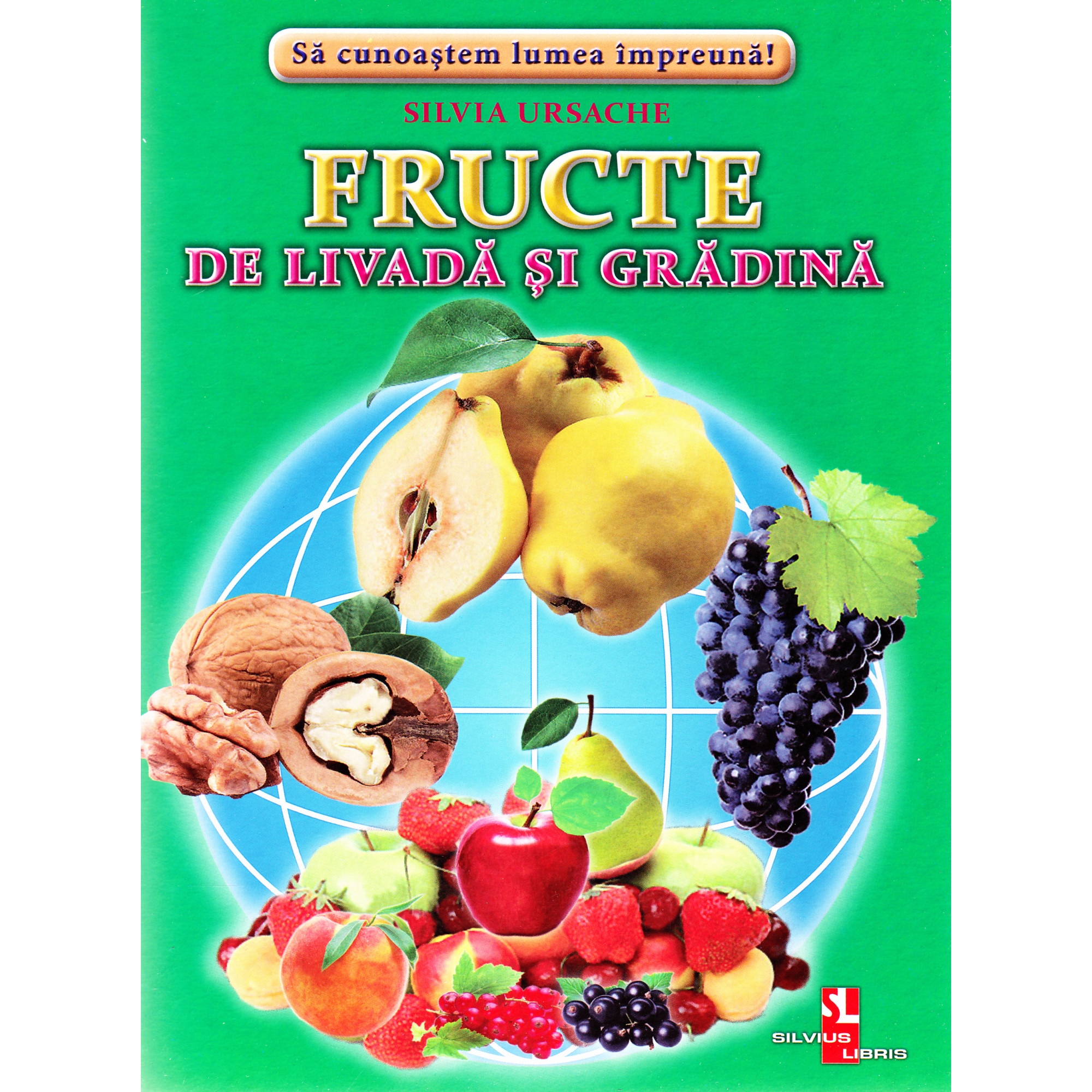 Fructe De Livada Si Gradina - Cartonase - Silvia Ursache - eMAG.ro