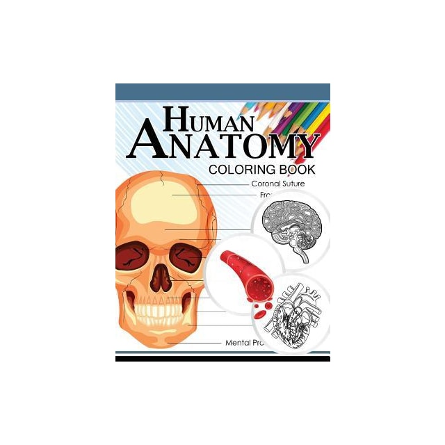 Human Anatomy Coloring Book Anatomy & Physiology Coloring Book 3rd ...