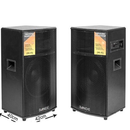 Boxe Active Profesionale P12 - eMAG.ro