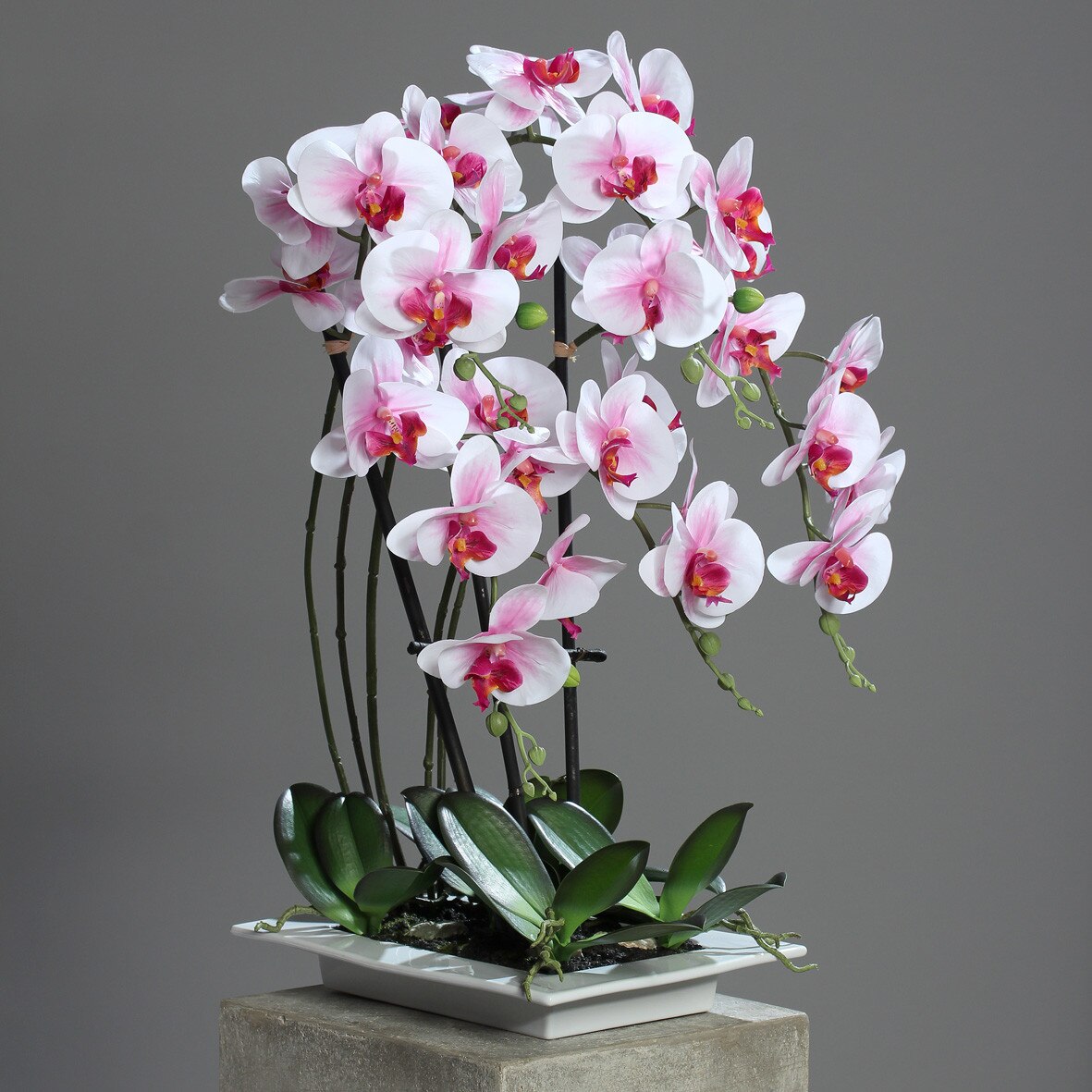 Set 2 x Orhidee artificiala in ghiveci ceramic alb - 62 cm - eMAG.ro