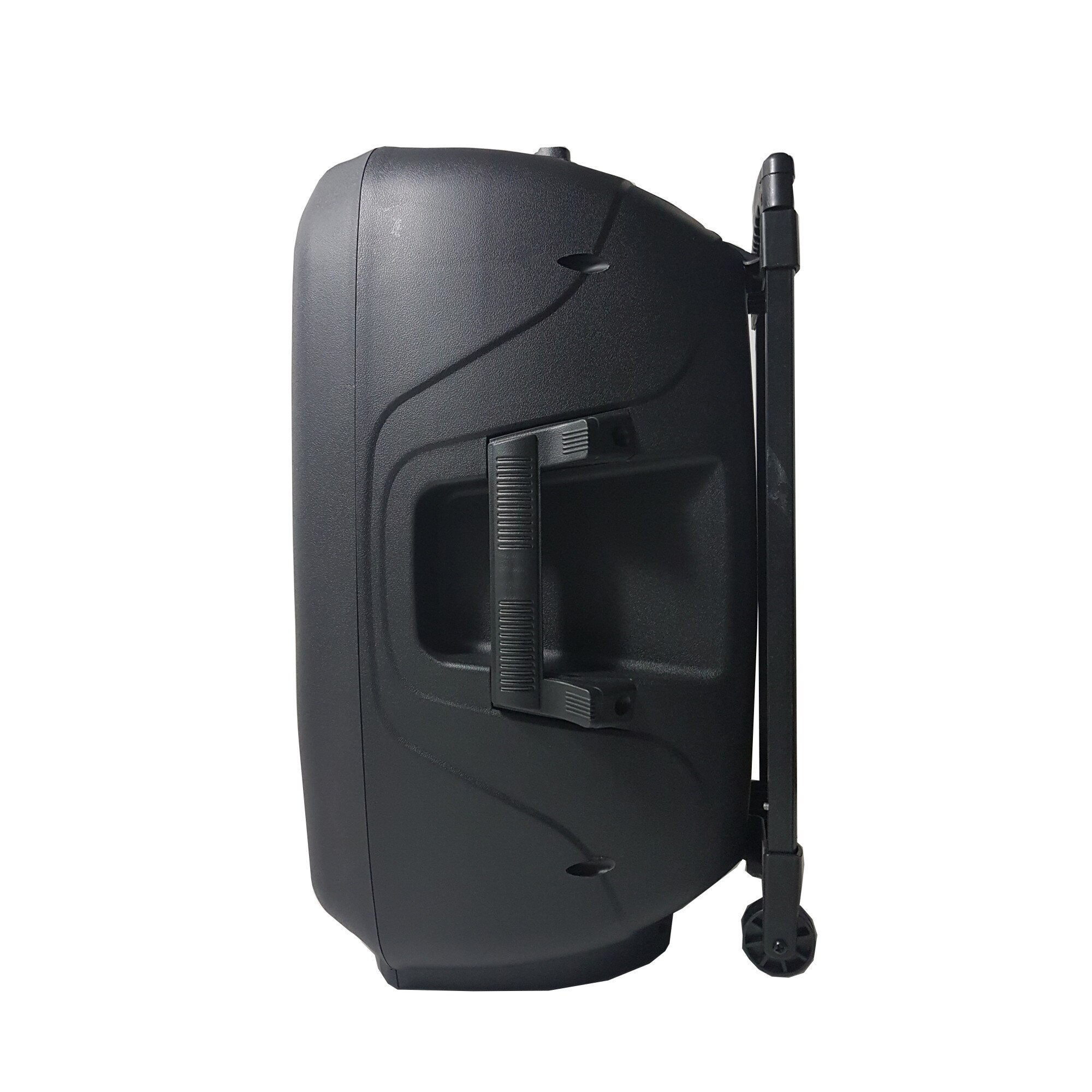 Boxa Activa Cu Statie Tip Troller, DOUBLE SOUND, 1 Microfon Wireless ...