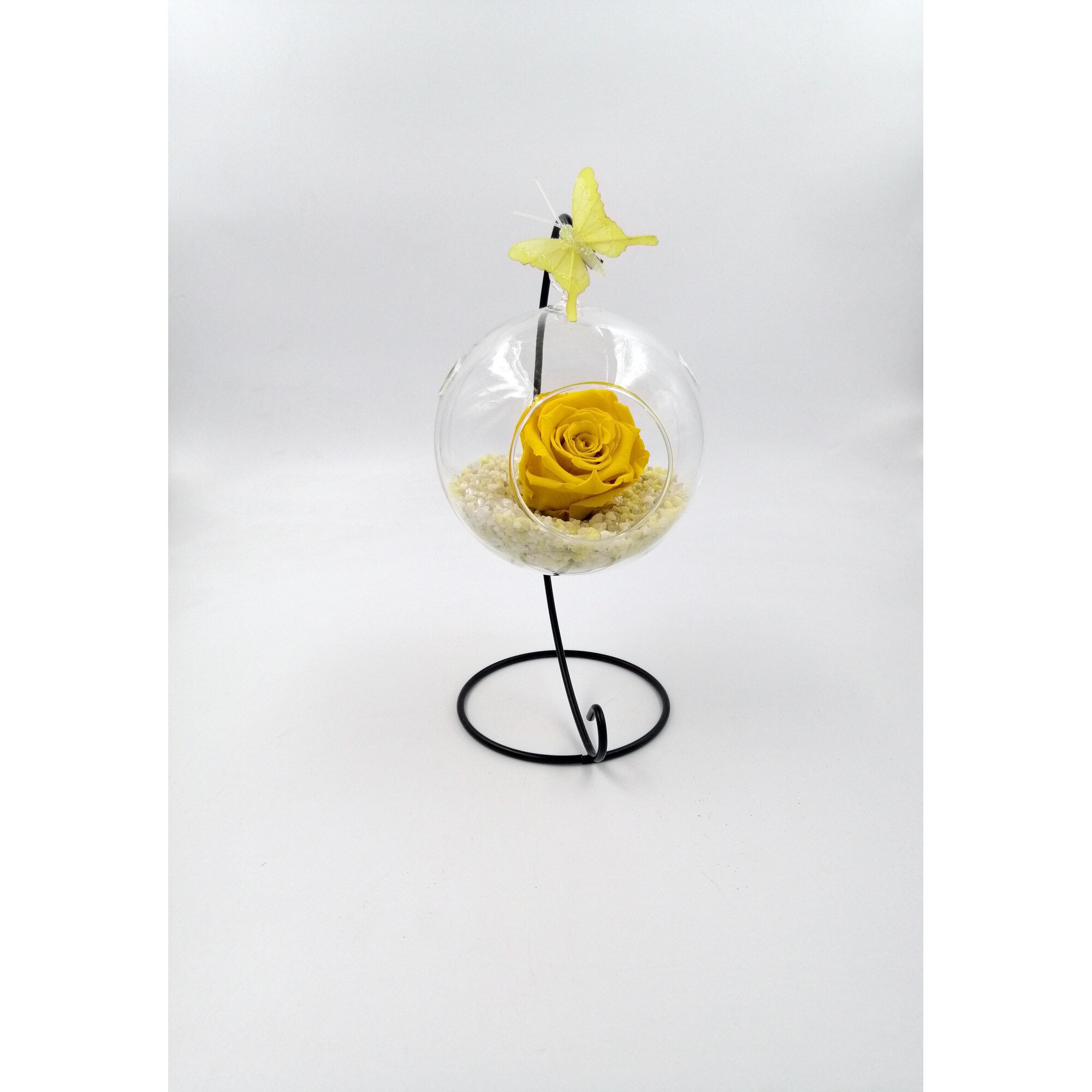 Trandafir Criogenat, galben, pe pat de pietricele, in bol de sticla cu ...