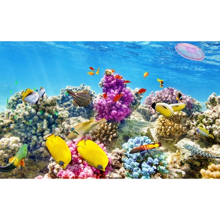 Autocolant Lumea subacvatica 4, 220 x 135 cm - eMAG.ro