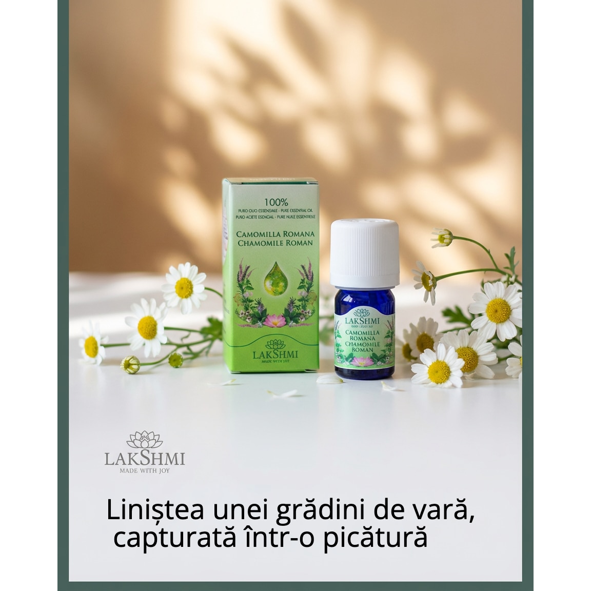 Ulei esential de musetel roman (Anthemis Nobilis Flower Oil) 2 ml, 100% ...