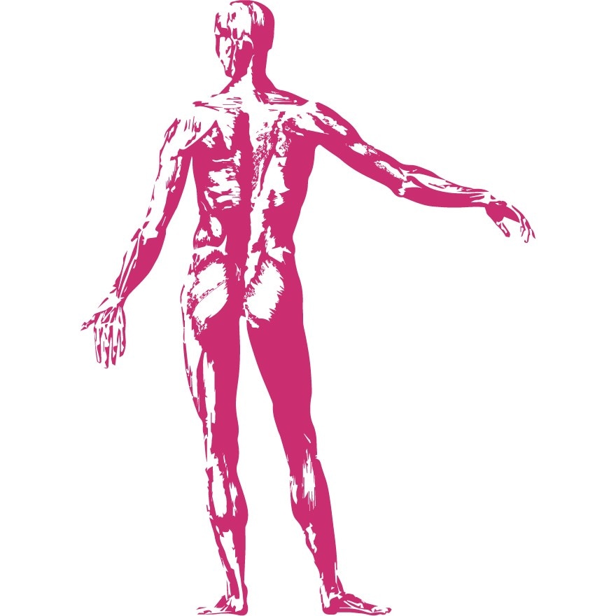 Homo sapiens - Sticker Decorativ - Magenta - 83 x 112 cm - eMAG.ro
