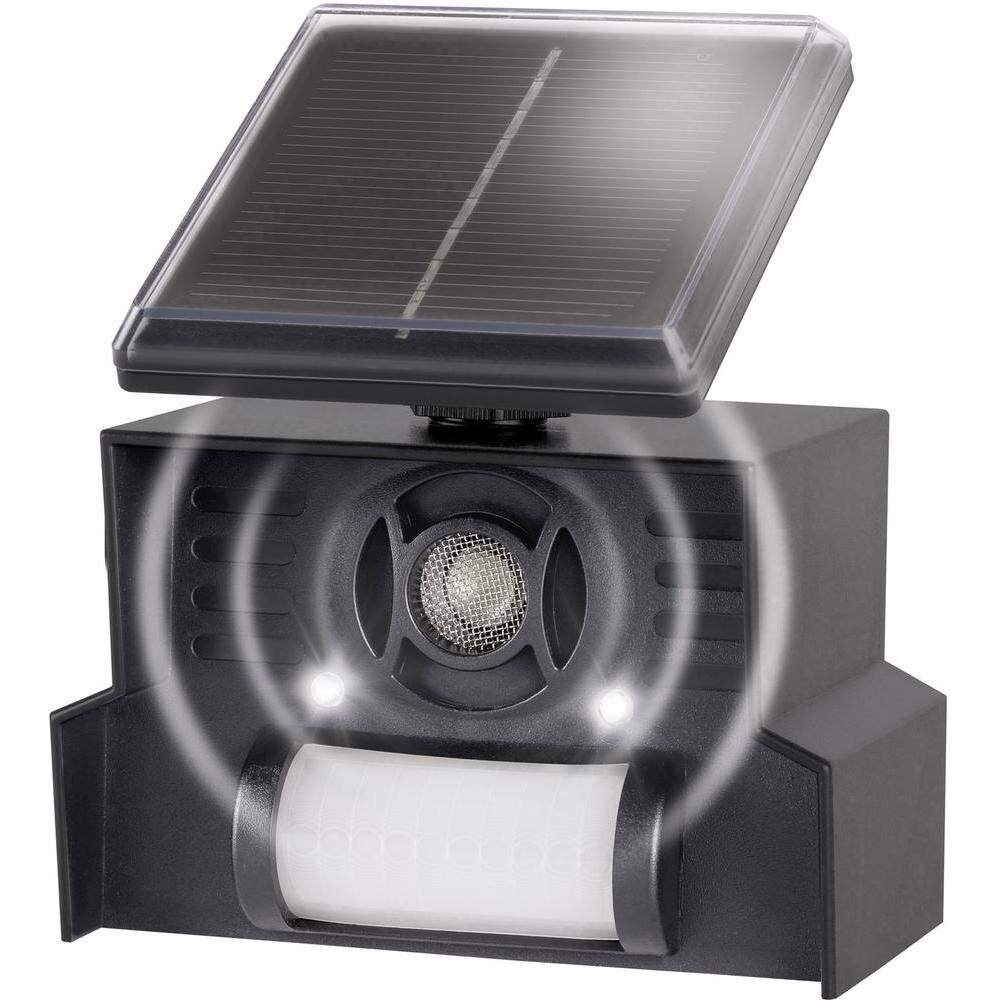 Aparat de alungat pasari (ciori, porumbei, vrabii, randunele, pescarusi ...