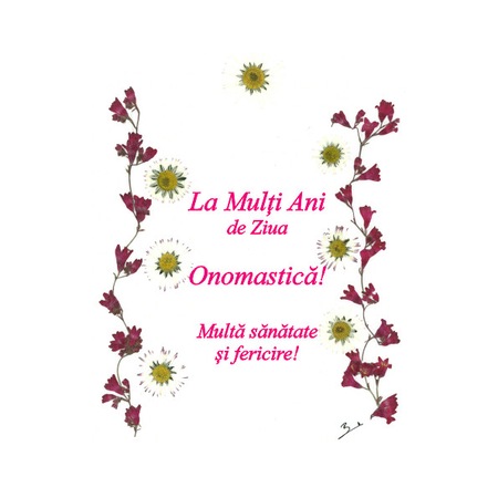 Set 10 Felicitari Oshi cu Flori, Onomastica, 03b - eMAG.ro