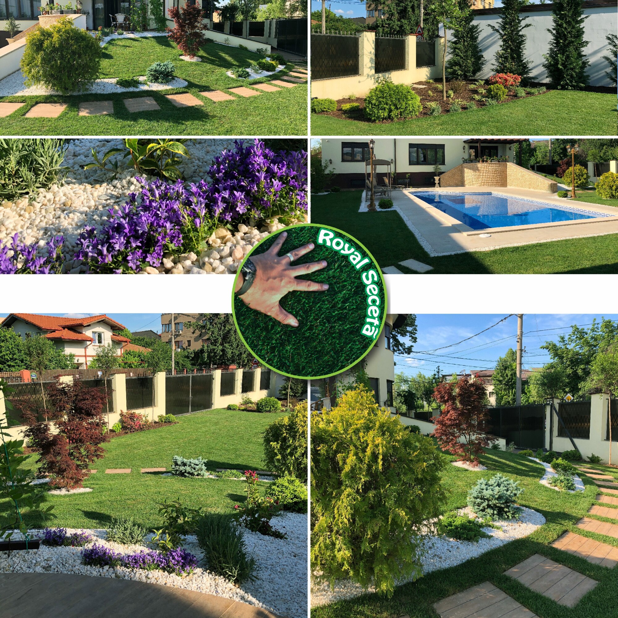 Gazon natural rulat OxyGazon tip Royal Seceta, 1 palet x50 mp - eMAG.ro